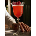 1924 Age 26cl (conf. 12pz) Calice Cocktail